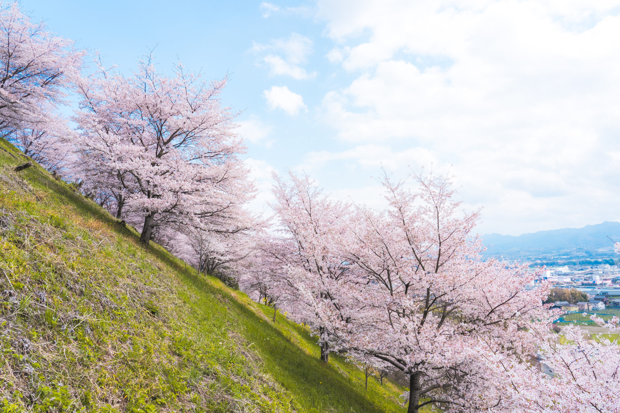 華蔵寺遊園地 | ぐんまノート